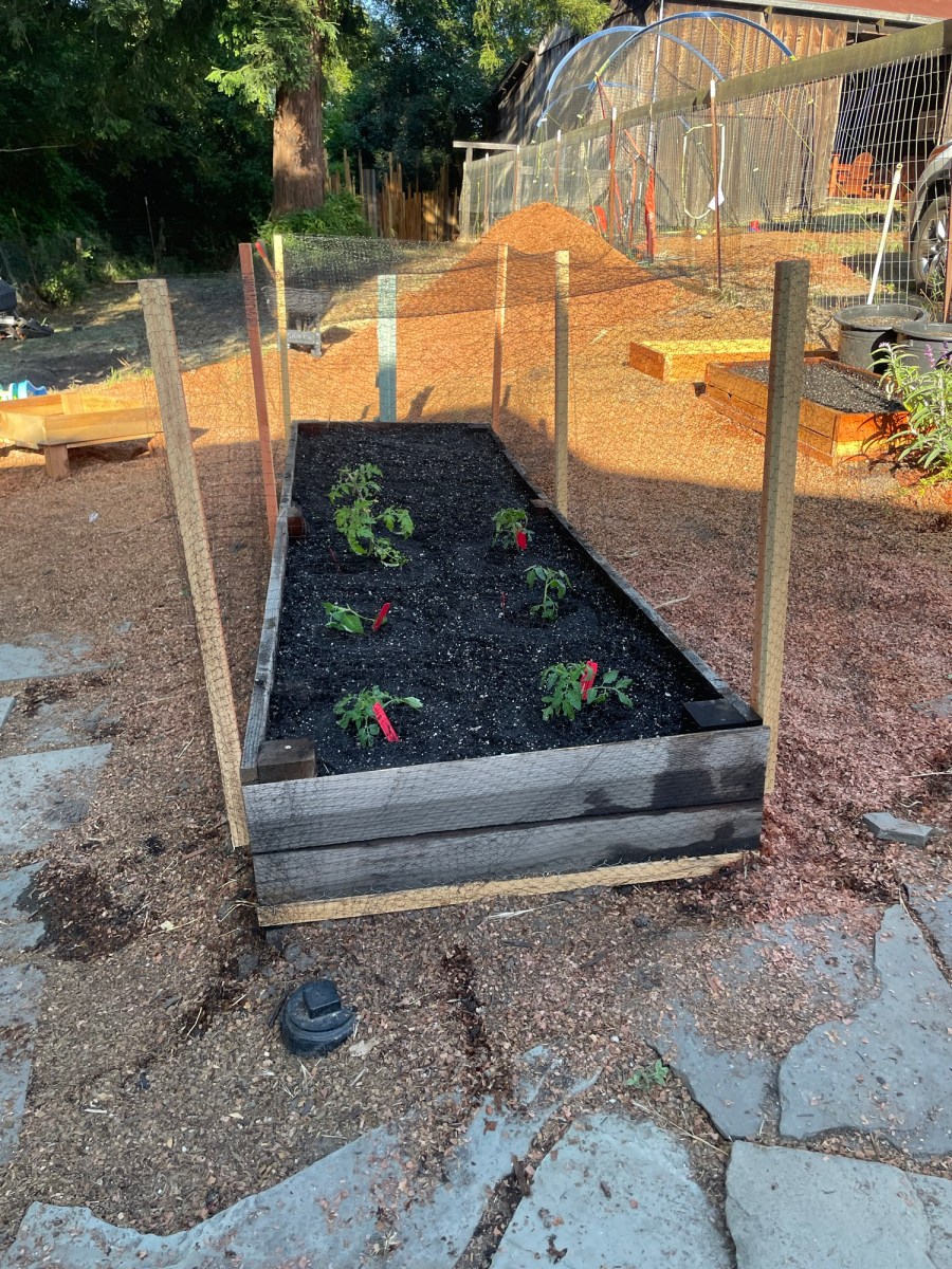 The Secret Power of Redwood Mulch: Why Every Garden Should Use It